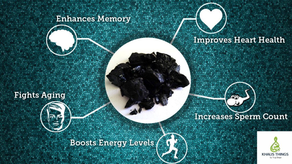Salajeet - Buy Pure Shilajit At Best Price in Pakistan - 100% Pure